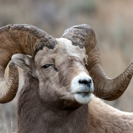 Quake Engines & Source Ports: A Beginners Guide | Slipseer